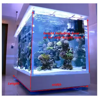 Acrylic Swimming Pool, Spa and Aquarium Manufacturer | Grandview Acrylic