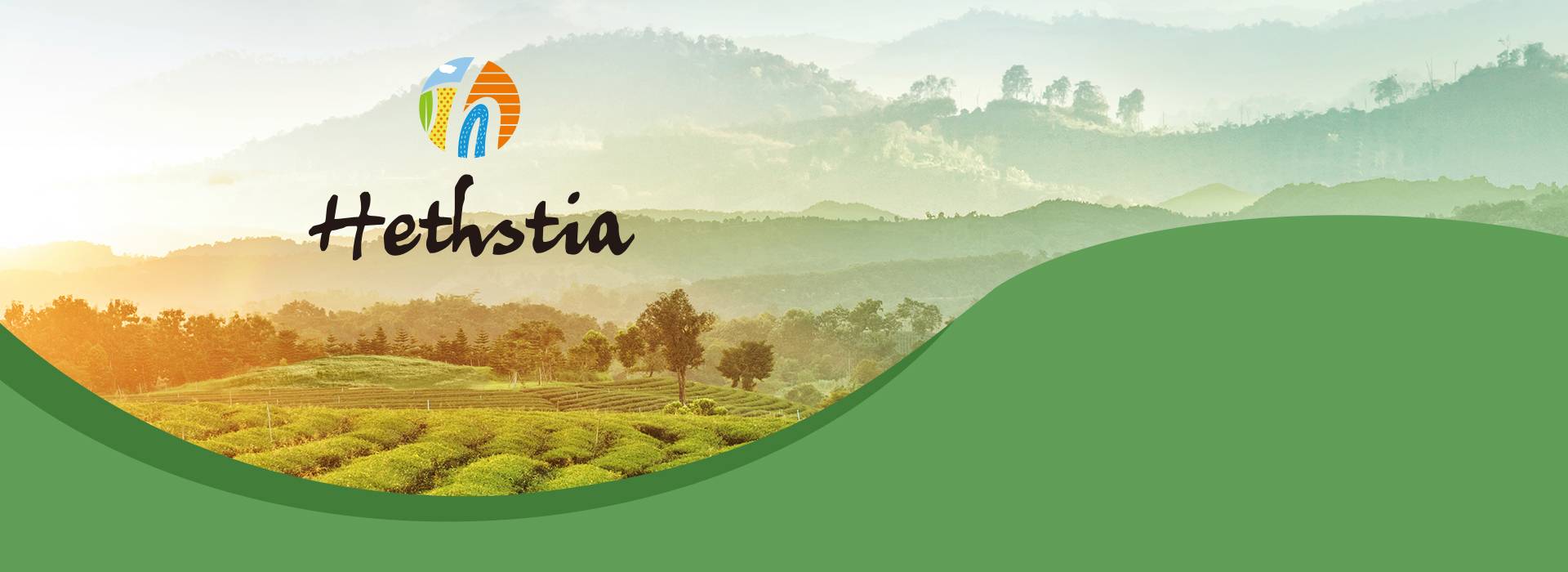 Discover a Healthy Lifestyle With Konjac - Hethstia